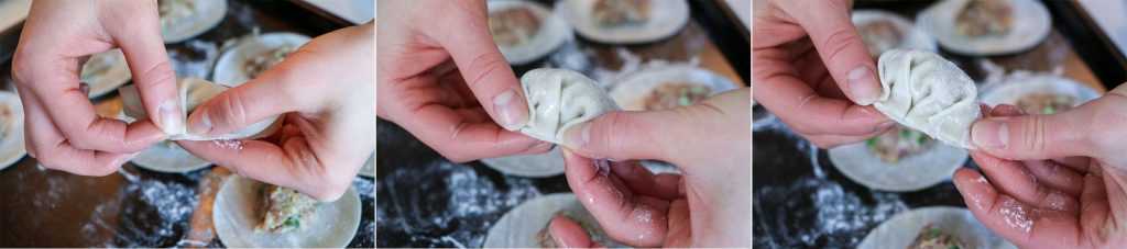 Japanese Pork Gyoza | Emi Cooks